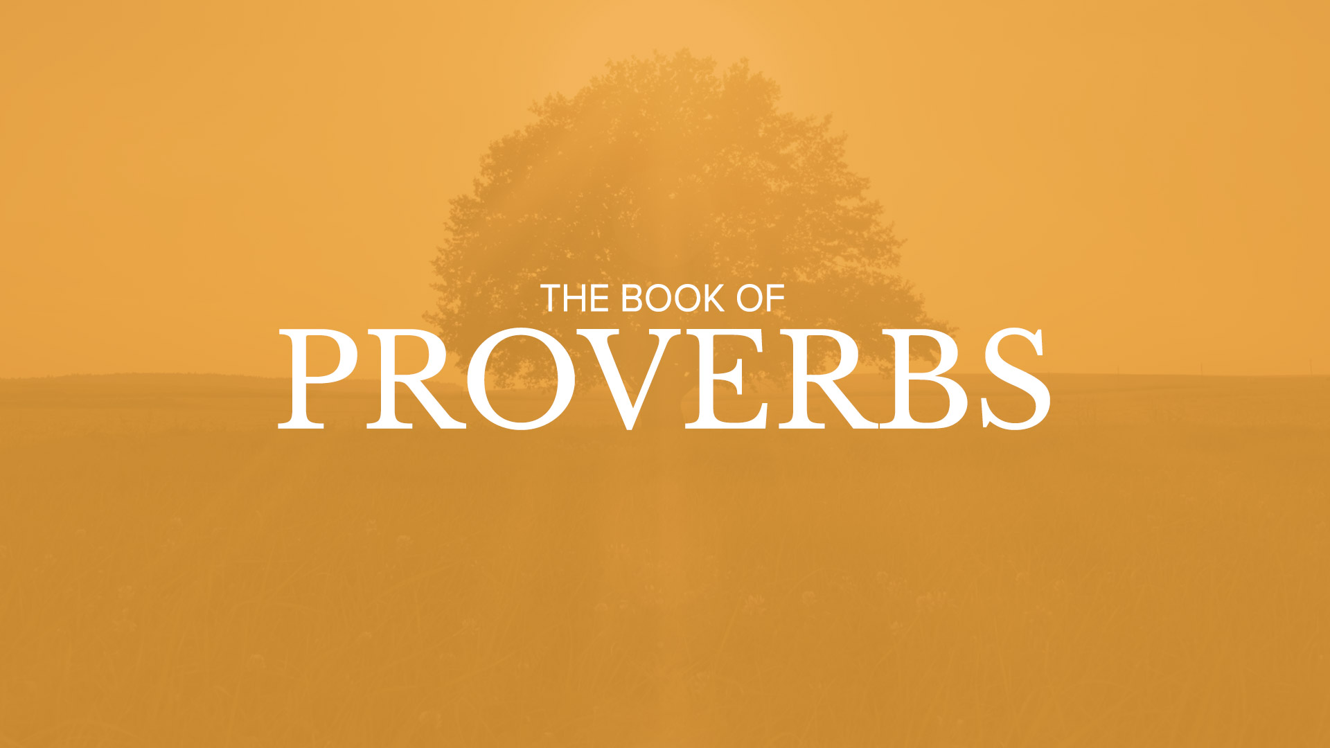 Bible Book Summary Proverbs Sermonary